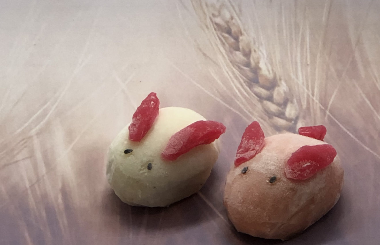 Mochi Moon - Les Douceurs Japonaises Peï